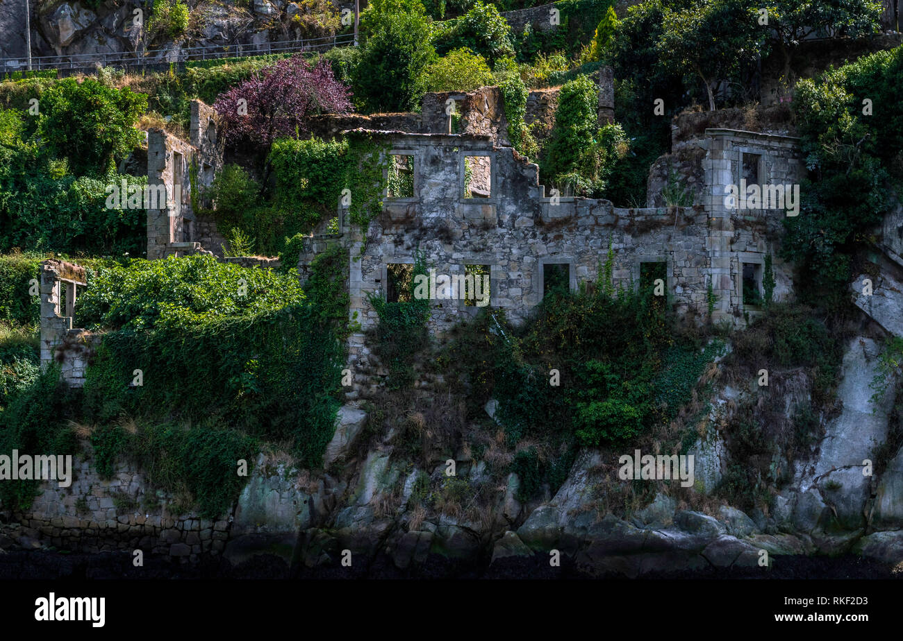 Old manor house ruins by the water overtaken by nature, trees and ...