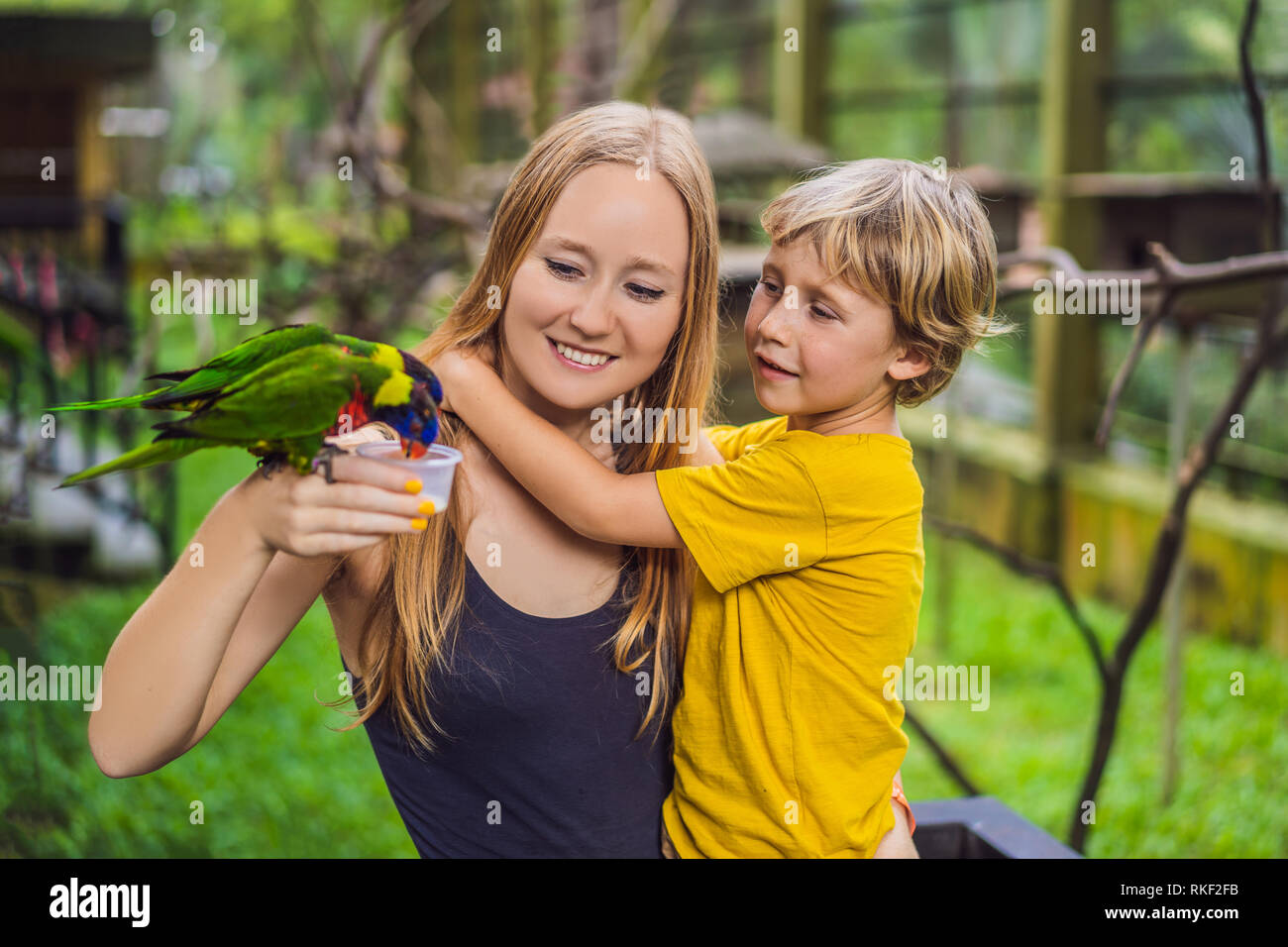 Mom and son feed the parrot in the park. Spending time with kids ...