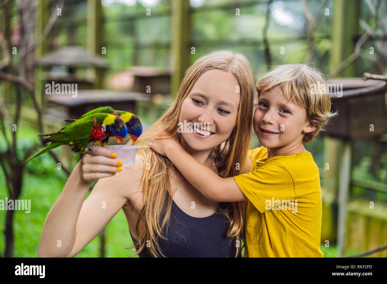 Mom and son feed the parrot in the park. Spending time with kids ...
