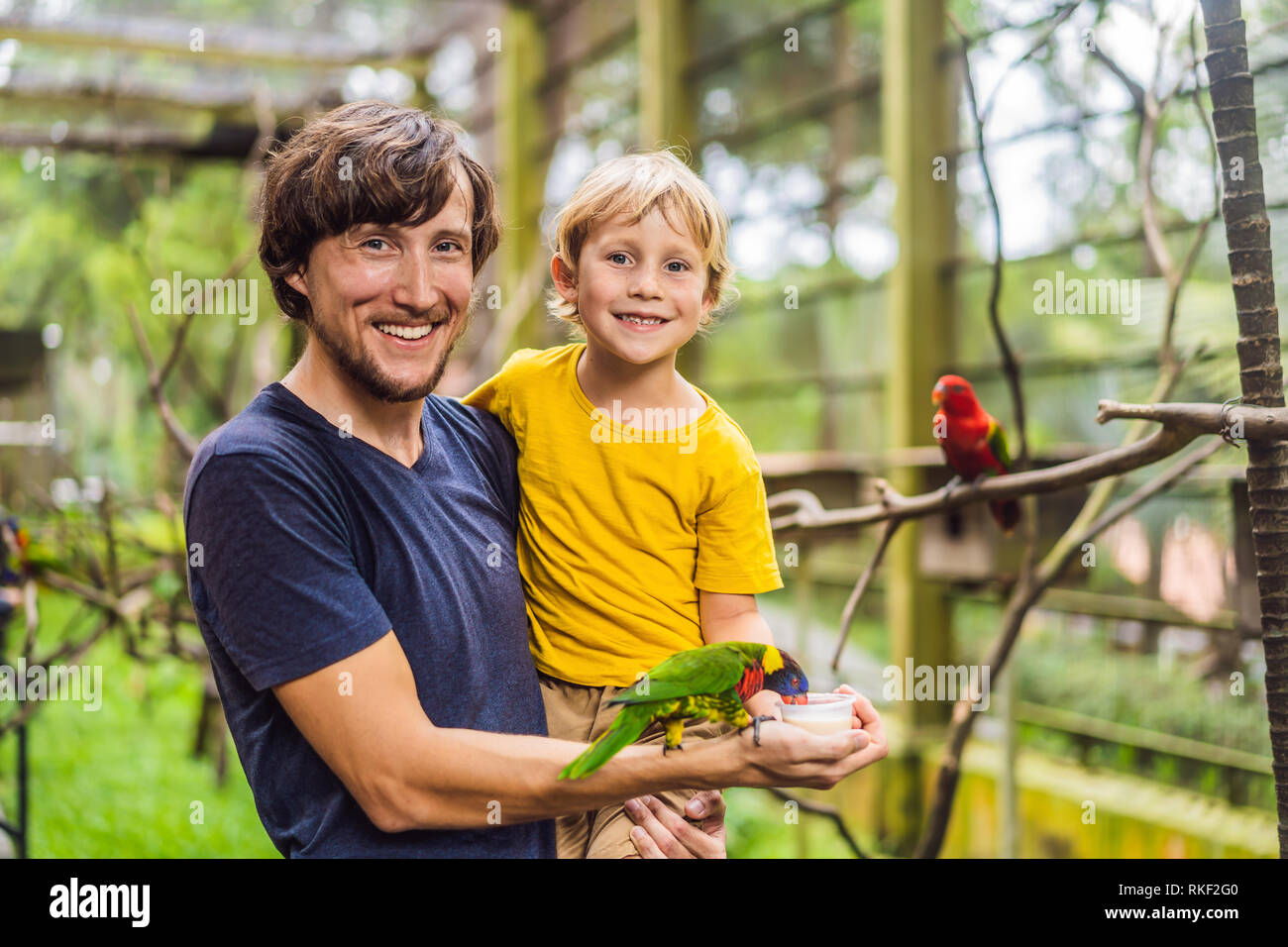 Ded and son feed the parrot in the park. Spending time with kids ...