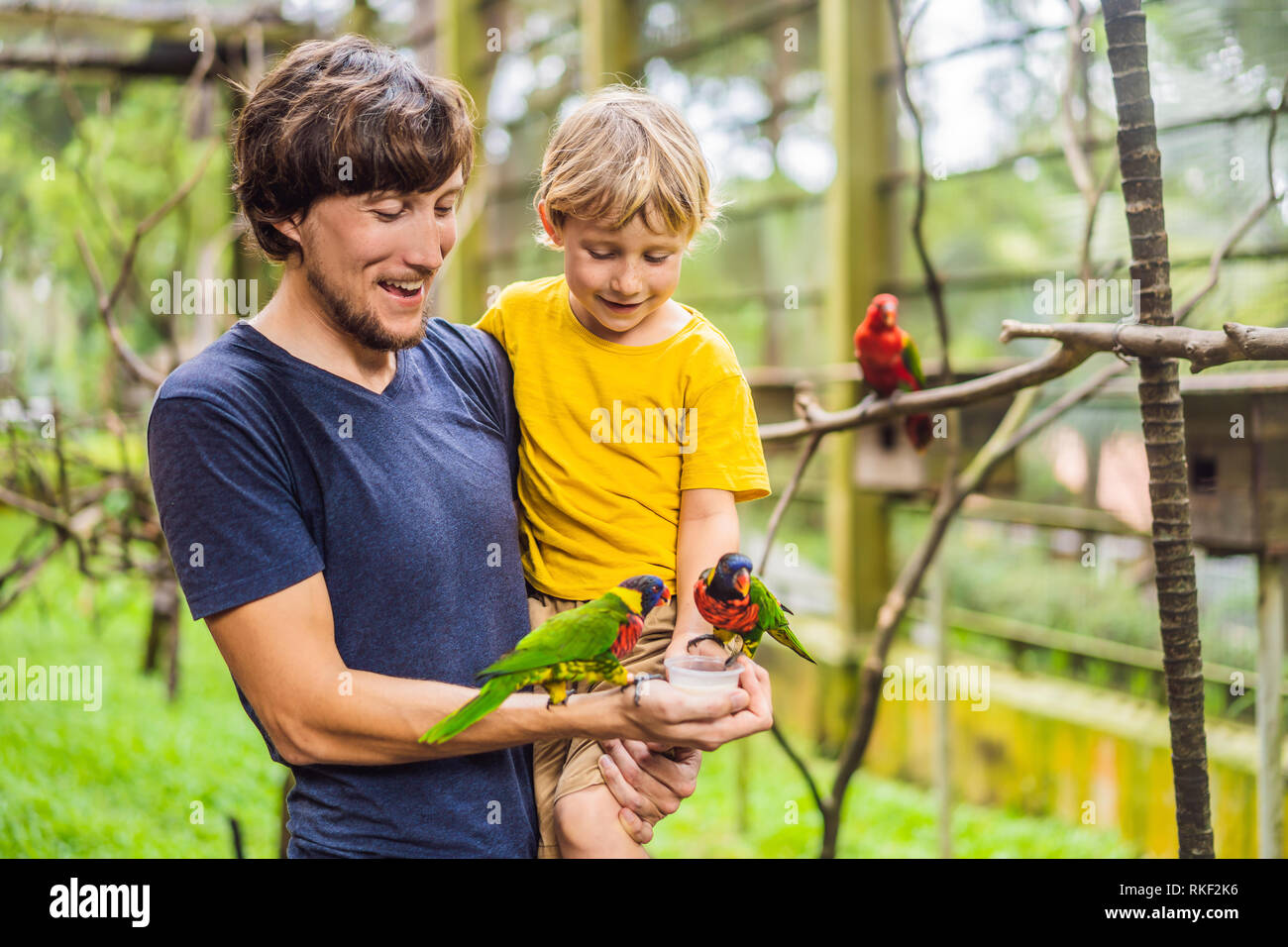 Ded and son feed the parrot in the park. Spending time with kids ...