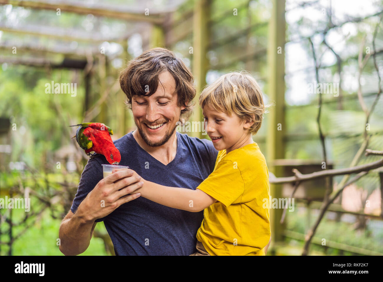 Ded and son feed the parrot in the park. Spending time with kids ...