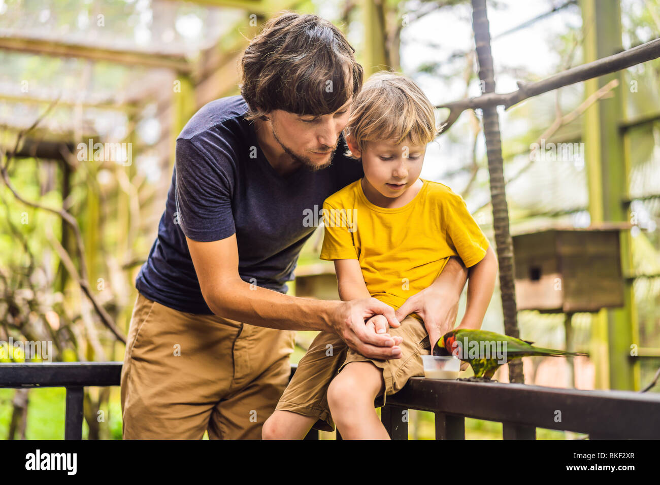 Ded and son feed the parrot in the park. Spending time with kids ...