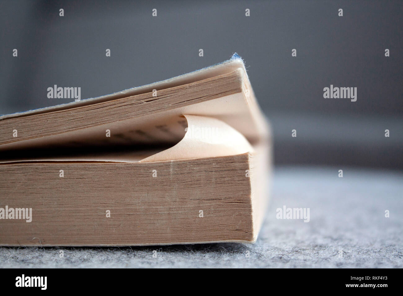 Dog Eared Book Cover Stock Photos & Dog Eared Book Cover Stock Images ...