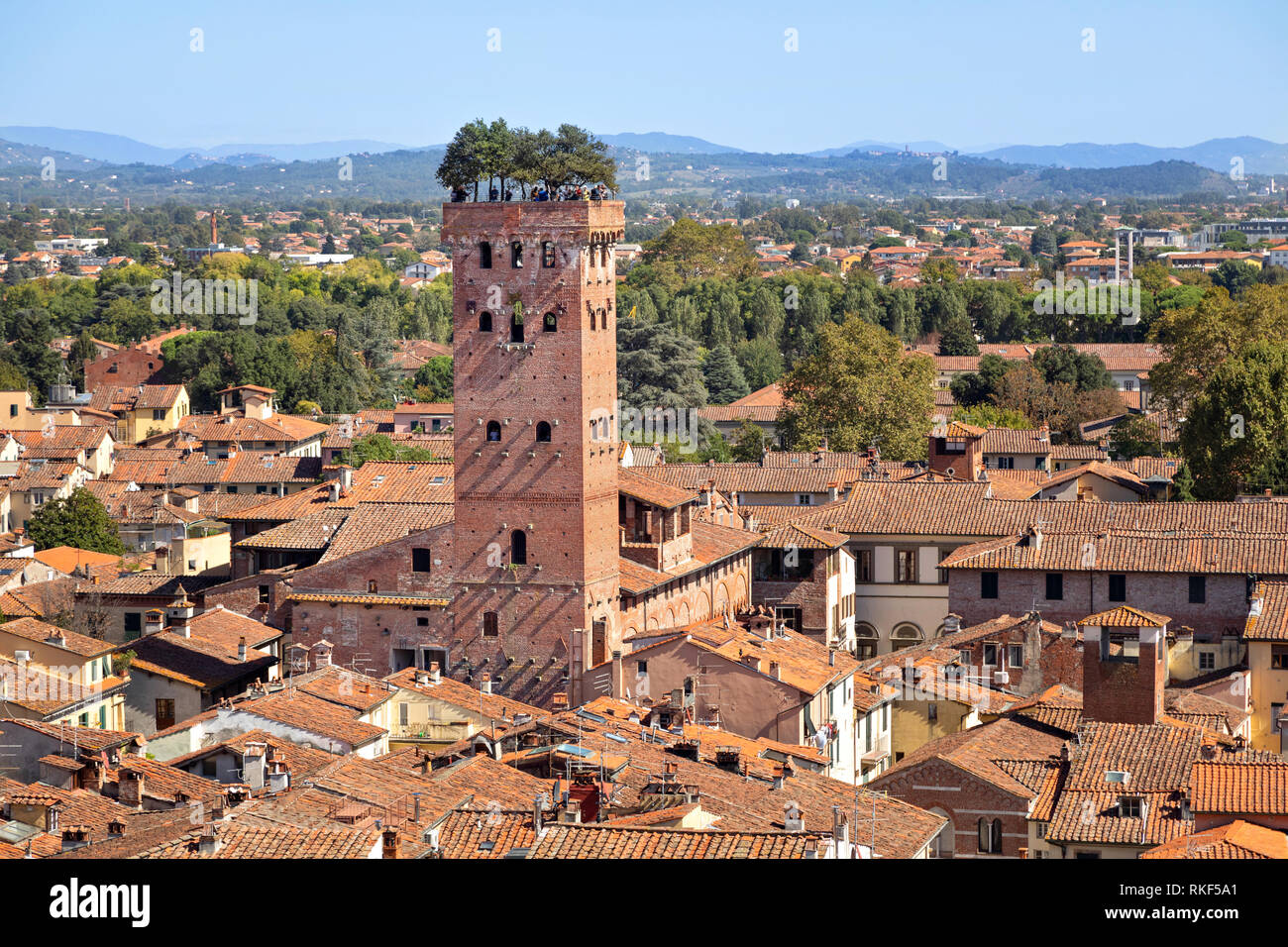 Lucca, Italy. Torre Guinigi - brick tower from 14th century topped by ...