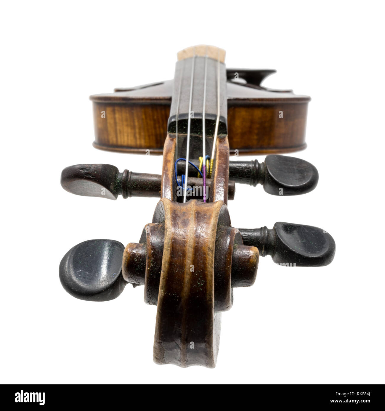 Violin front view isolated on hi-res stock photography and images - Alamy