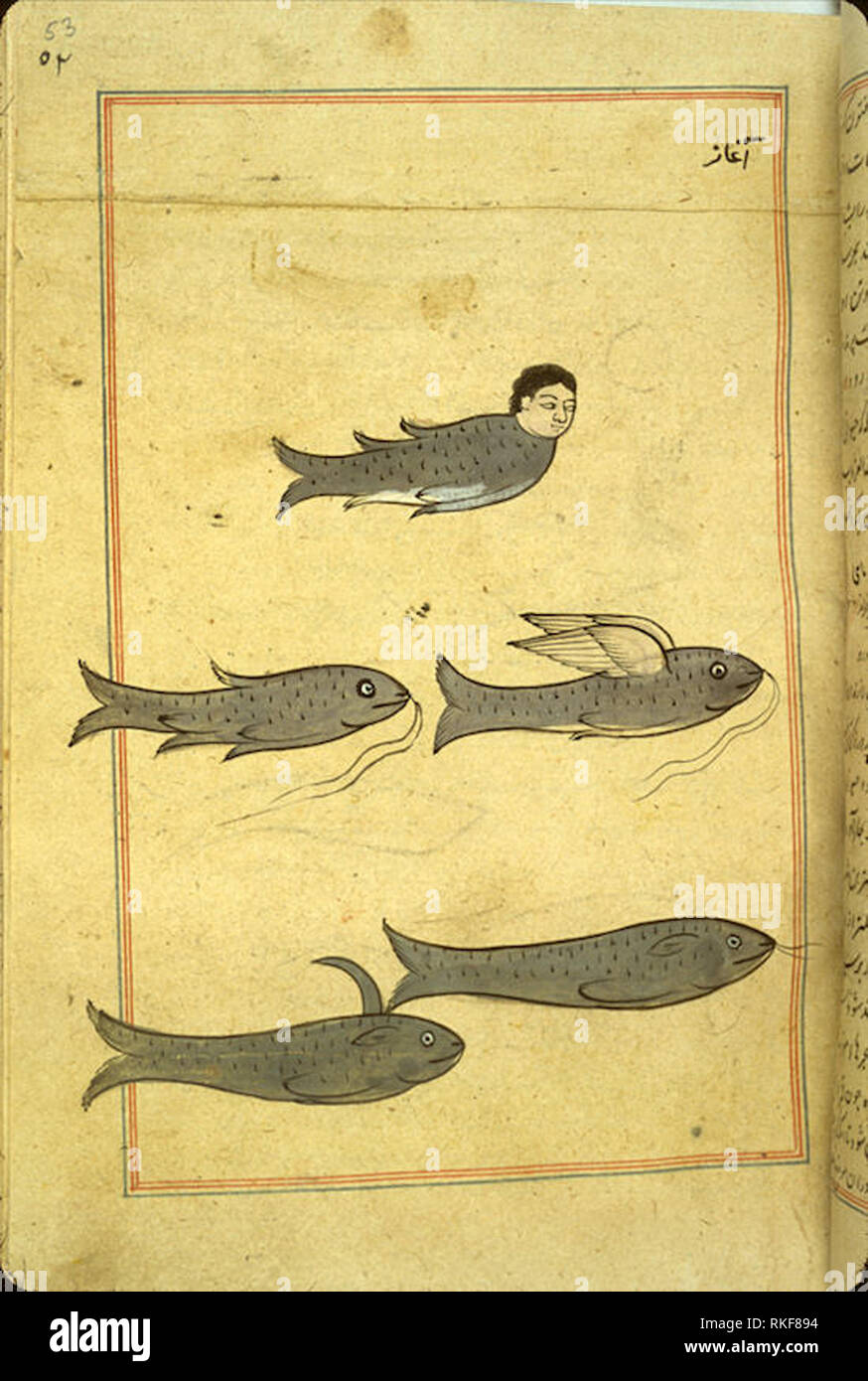 vintage art from a ancient indian scroll or book depicting various ...