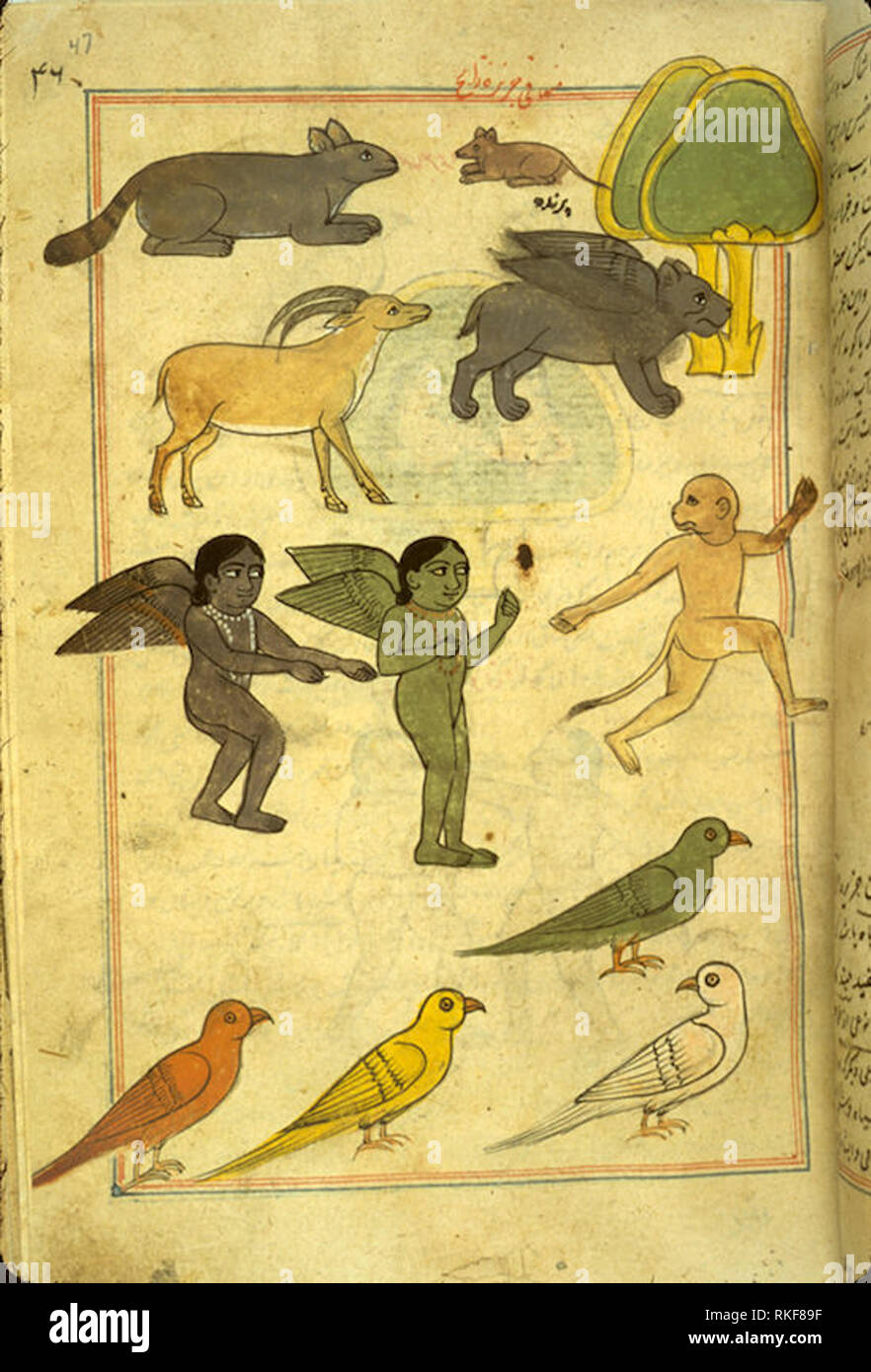 Ancient winged creatures hi-res stock photography and images - Alamy