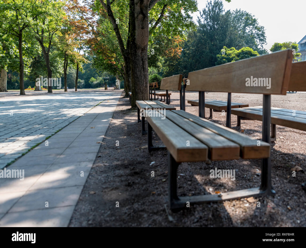 Rest area in a park with paved path and resting bench with trees in ...