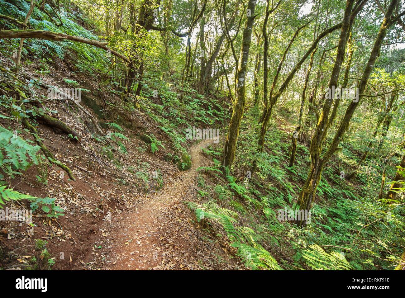 Rainforest islands hi-res stock photography and images - Alamy