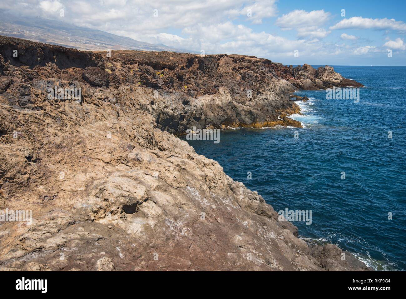 South island canary hi-res stock photography and images - Alamy