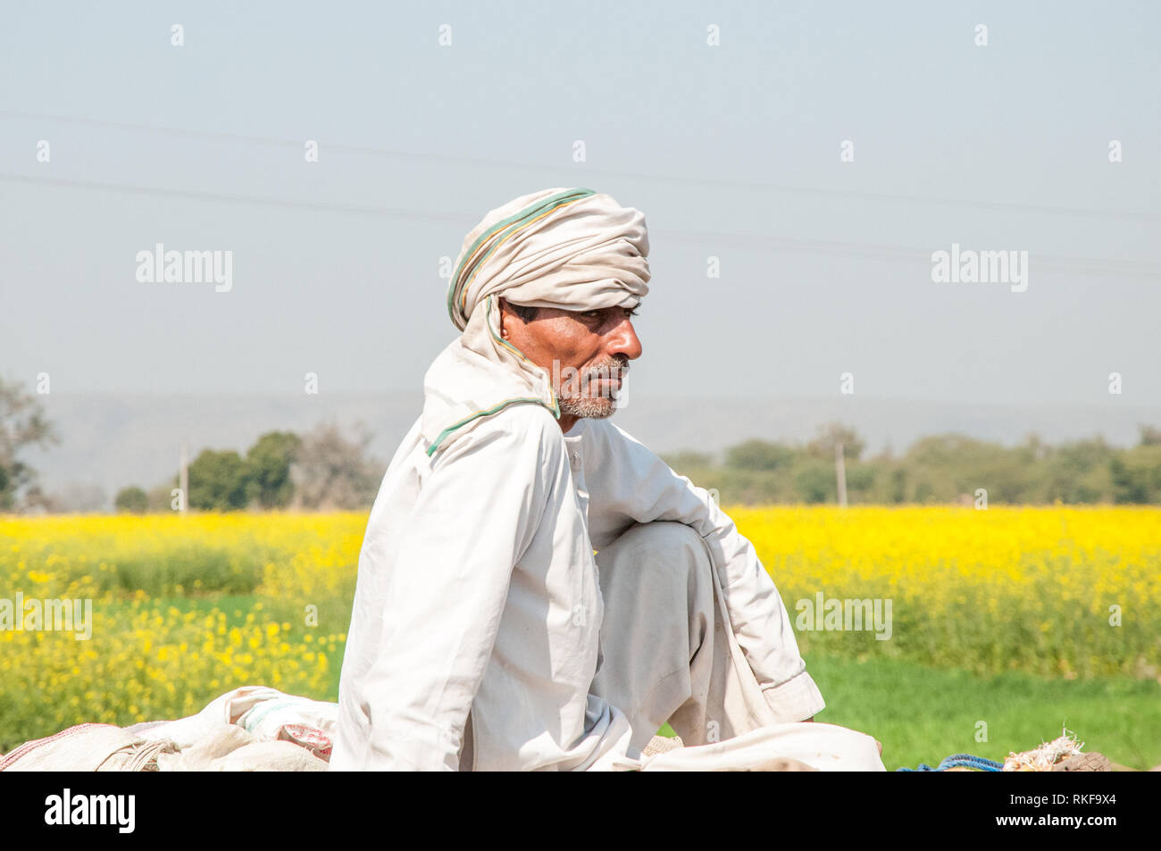 Agricultural worker sitting on a cart in the countryside of Rajasthan ...