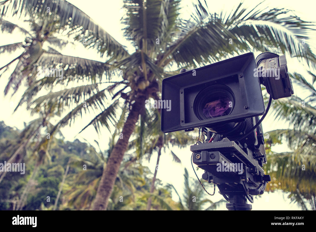 Professional movie camera on a movie set on the backdrop of palm trees ...