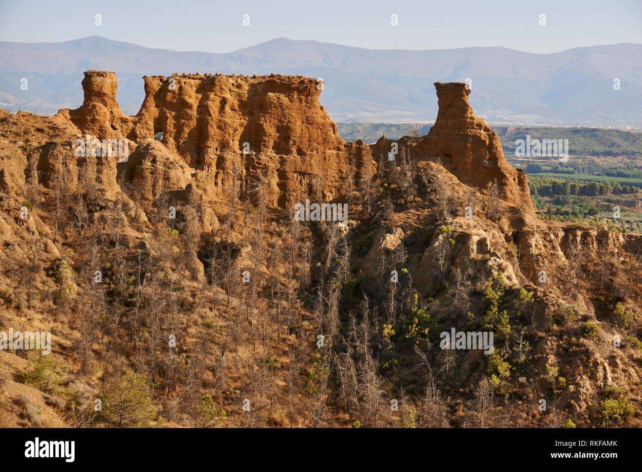Desert mountain habitat hi-res stock photography and images - Alamy