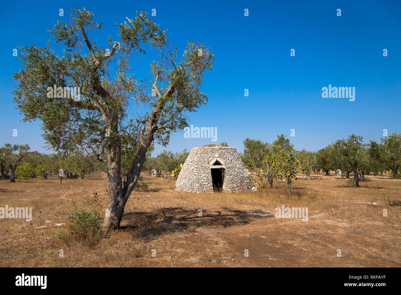 Agriculture Tools Stone High Resolution Stock Photography and Images ...