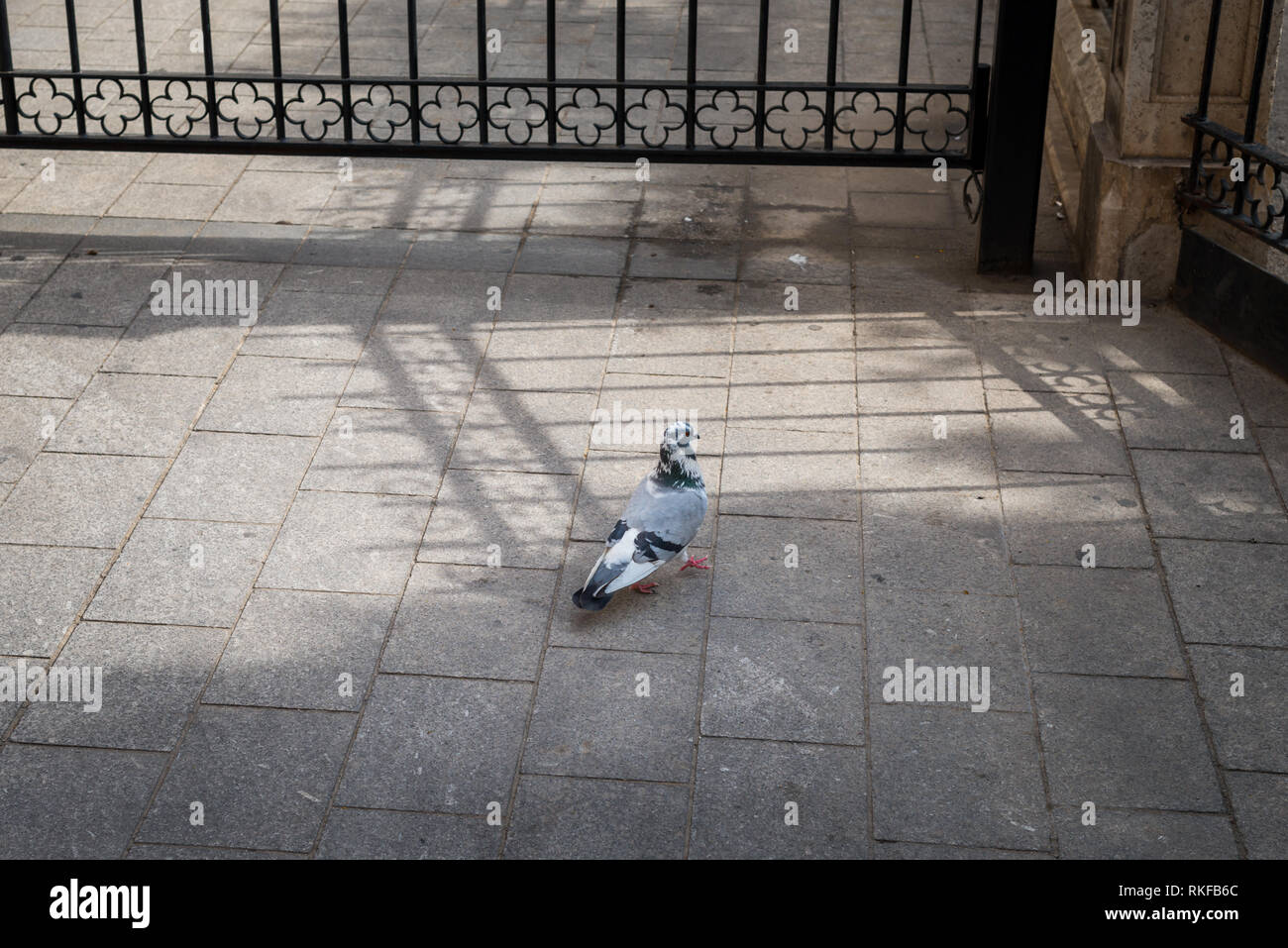 Pavement crossover hi-res stock photography and images - Alamy