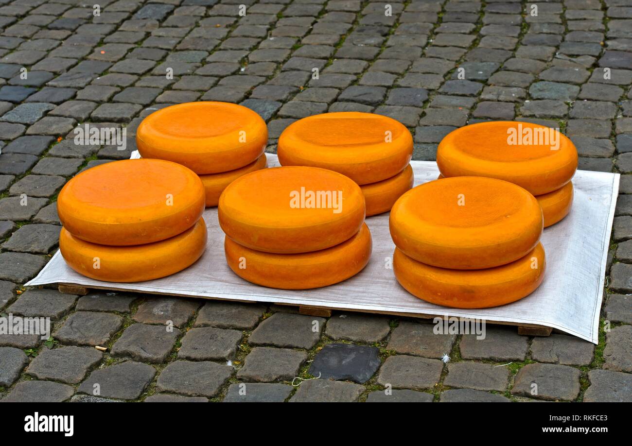 Gouda Cheese Wheel High Resolution Stock Photography and Images - Alamy