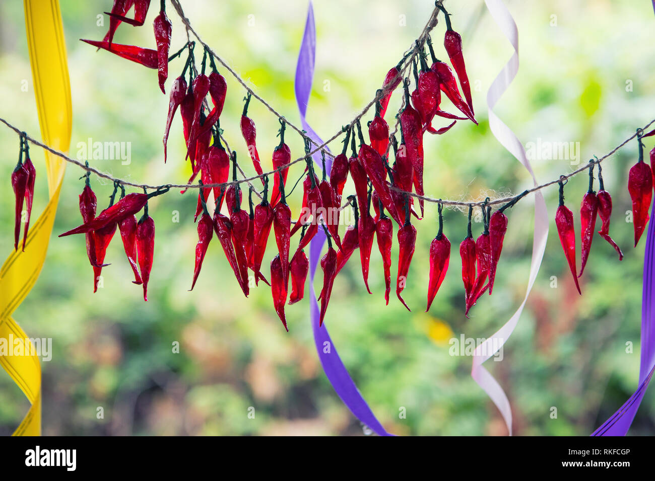 Bunch dried red chilli peppers hi-res stock photography and images - Alamy