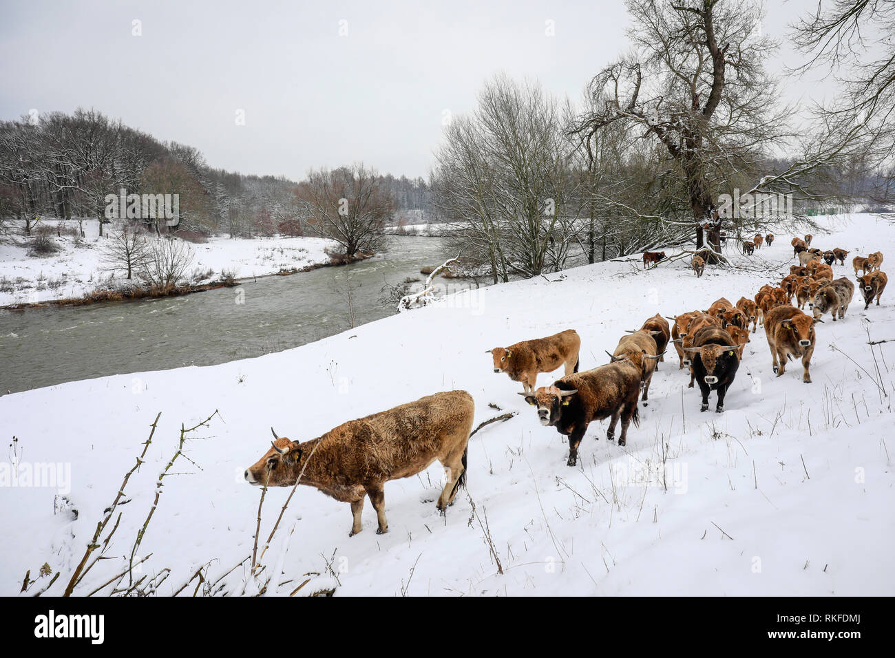 Datteln, Ruhr area, North Rhine-Westphalia, Germany - The Lippe in ...