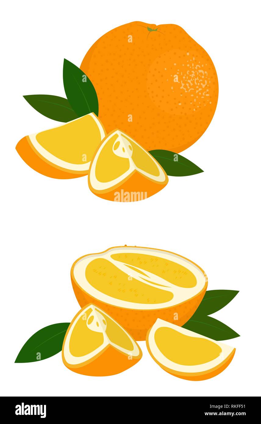 Orange Wedge Vector