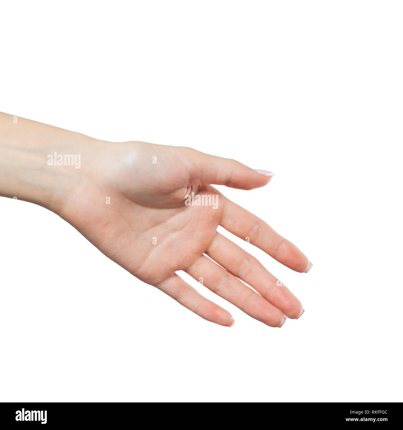 Shaking female hand isolated on white background. Handshake woman Stock ...