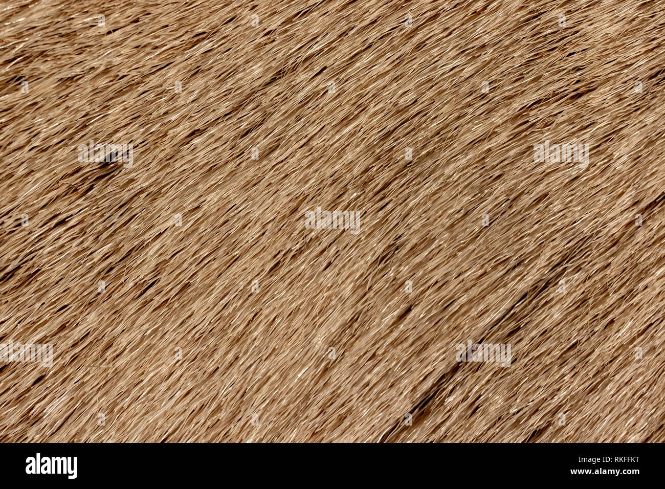 Reindeer fur background texture. Natural material pattern Stock Photo ...
