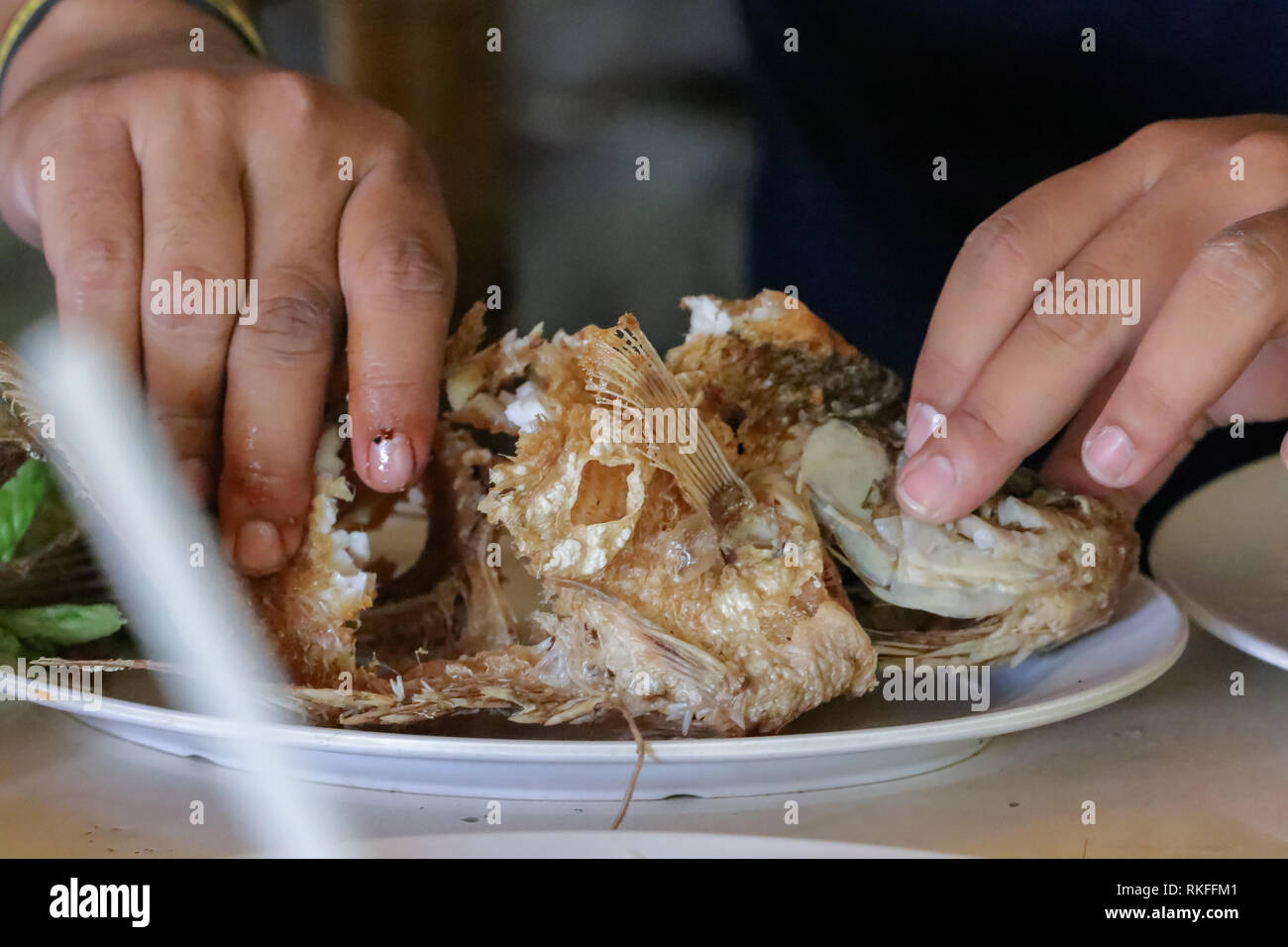 Human body parts hi-res stock photography and images - Alamy