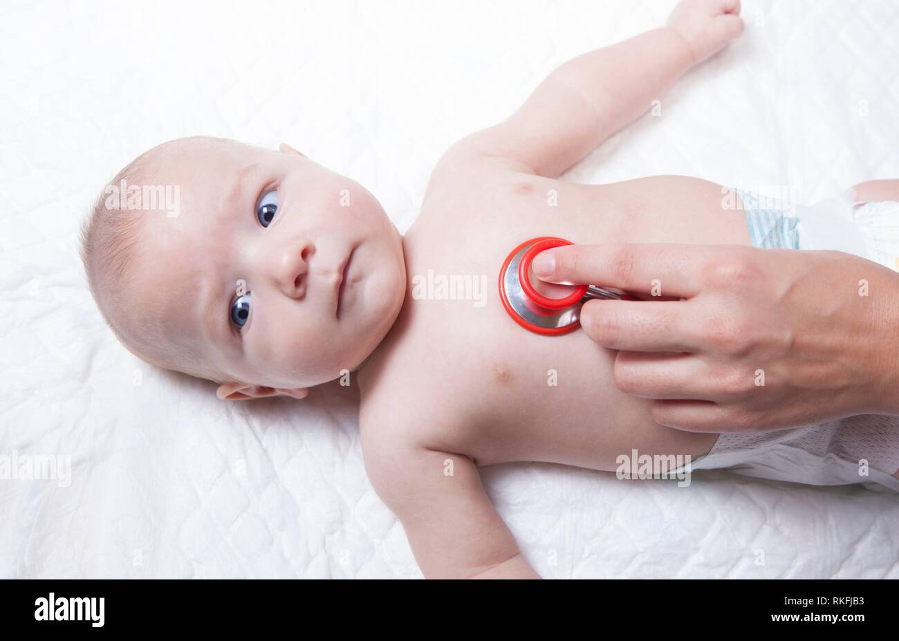 Boy and lab hi-res stock photography and images - Alamy