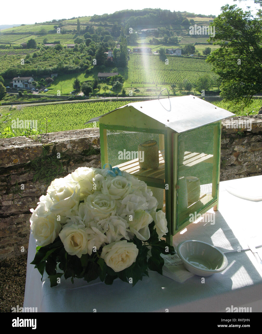 French chateau window hi-res stock photography and images - Alamy