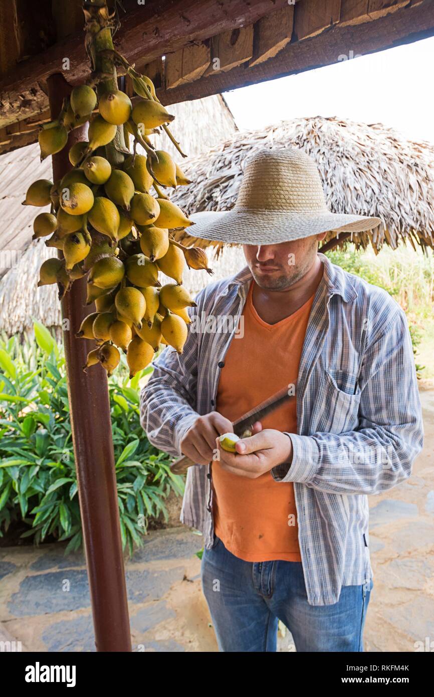Indigenous cuban hi-res stock photography and images - Alamy