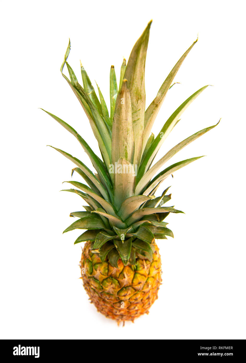 ananas Isolated on white background Stock Photo - Alamy