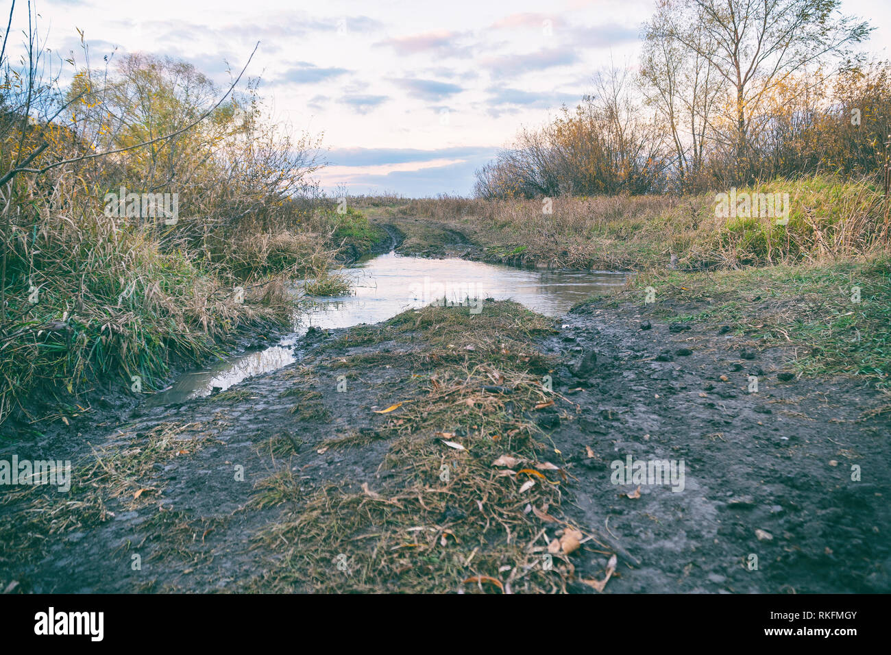 Water flows in a small river Stock Photo - Alamy