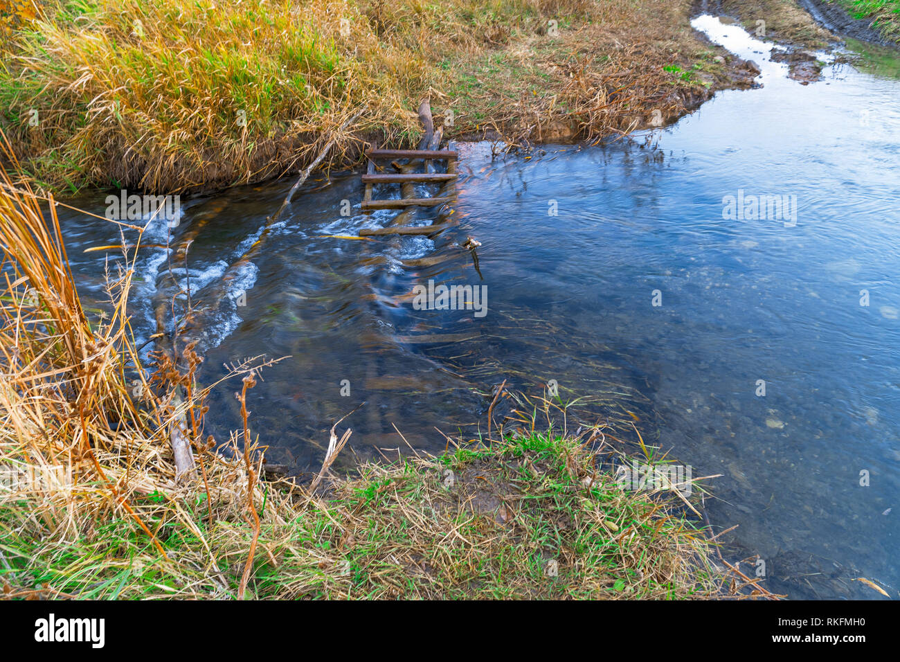 Water flows in a small river Stock Photo - Alamy