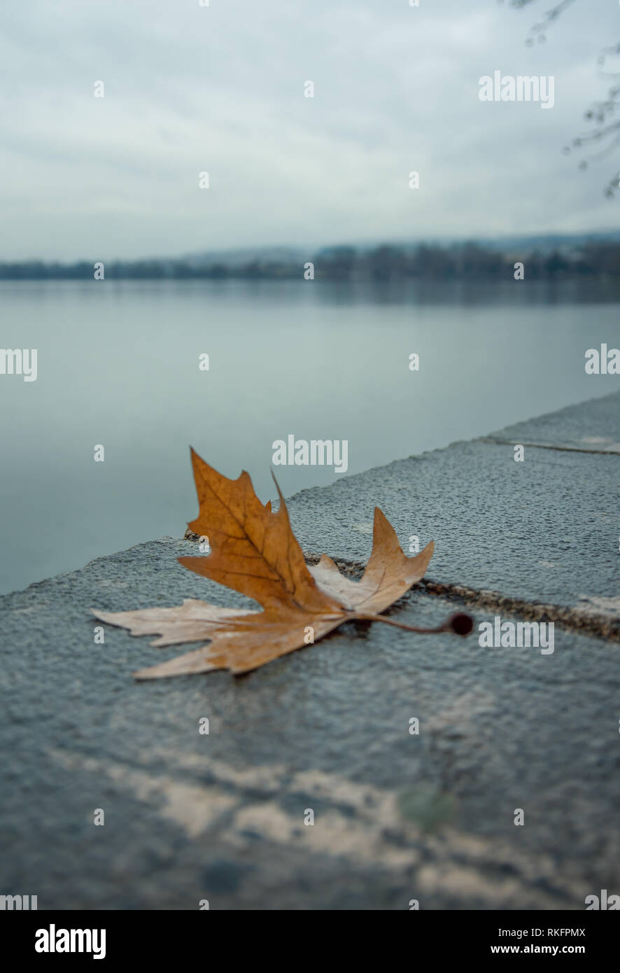 Fallen leaf lake hi-res stock photography and images - Alamy