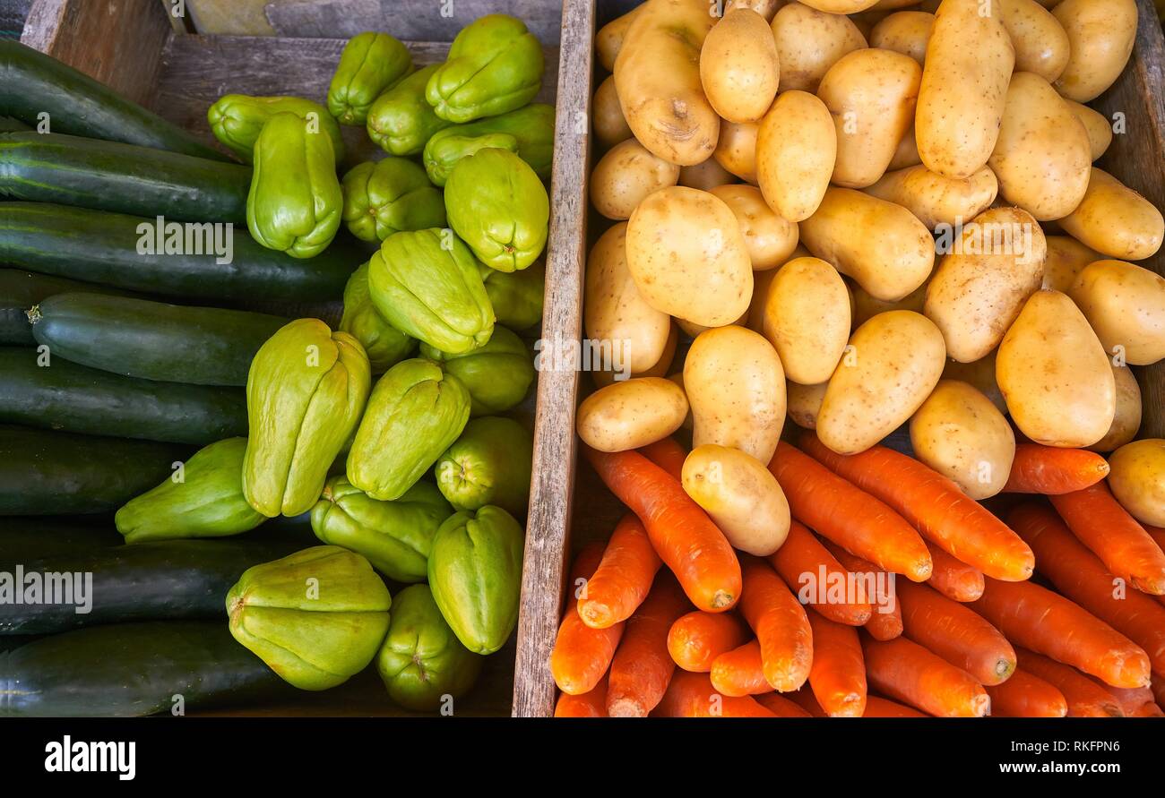Chayote Squash Stock Photos & Chayote Squash Stock Images - Alamy