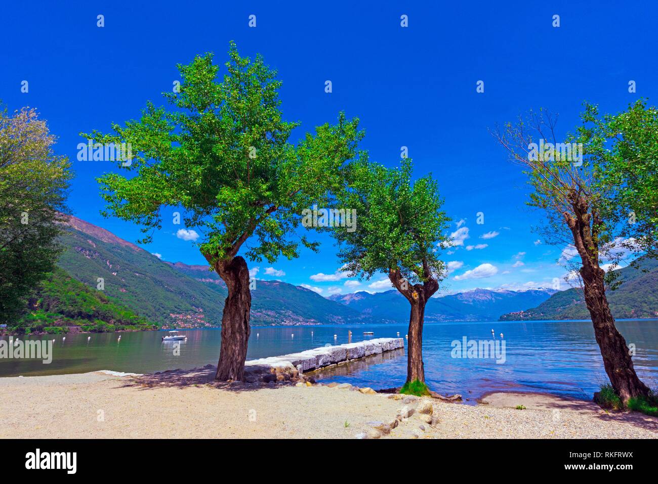 Cannobio Lake Maggiore Lago Maggiore High Resolution Stock Photography ...