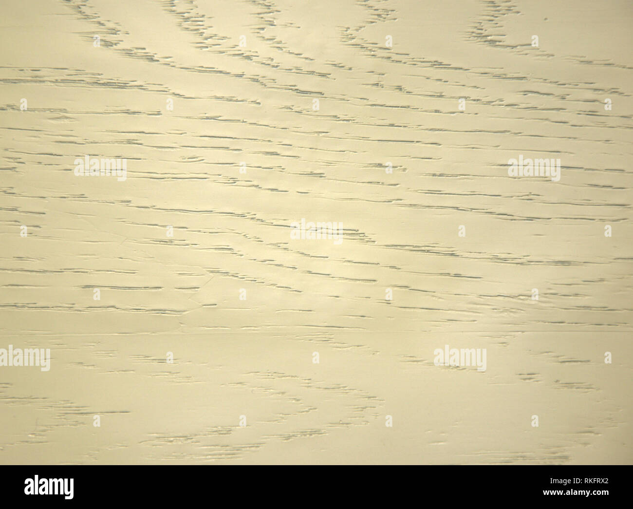 Natural light wood closeup. Texture Background Stock Photo - Alamy