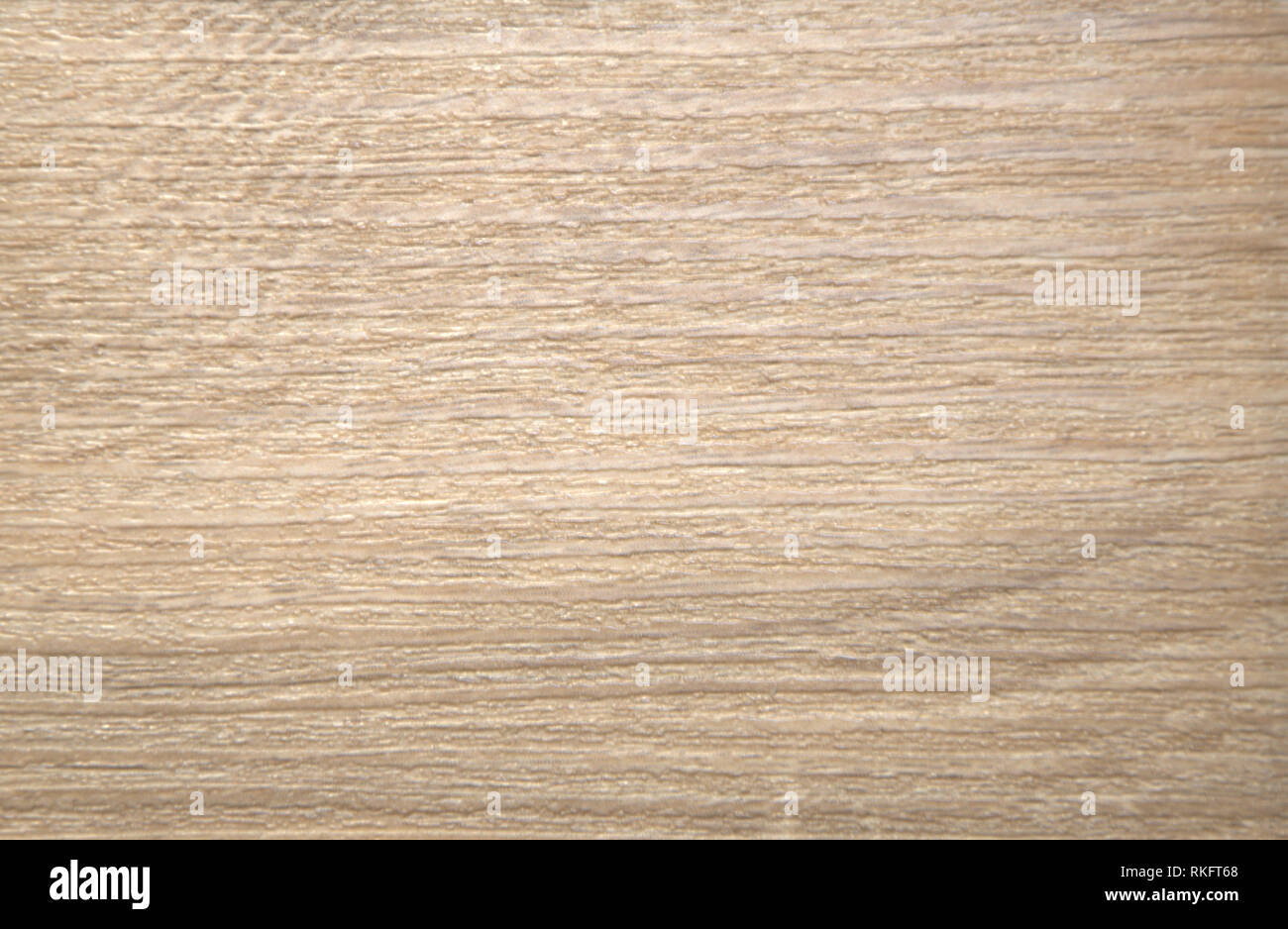 Natural light wood closeup. Texture Background Stock Photo - Alamy