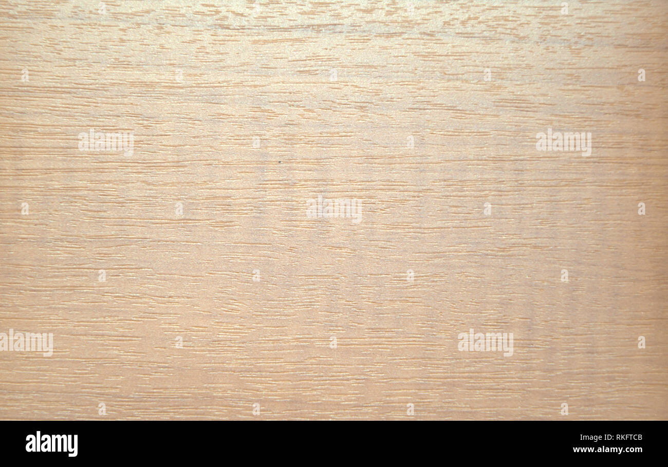 Natural light wood closeup. Texture Background Stock Photo - Alamy