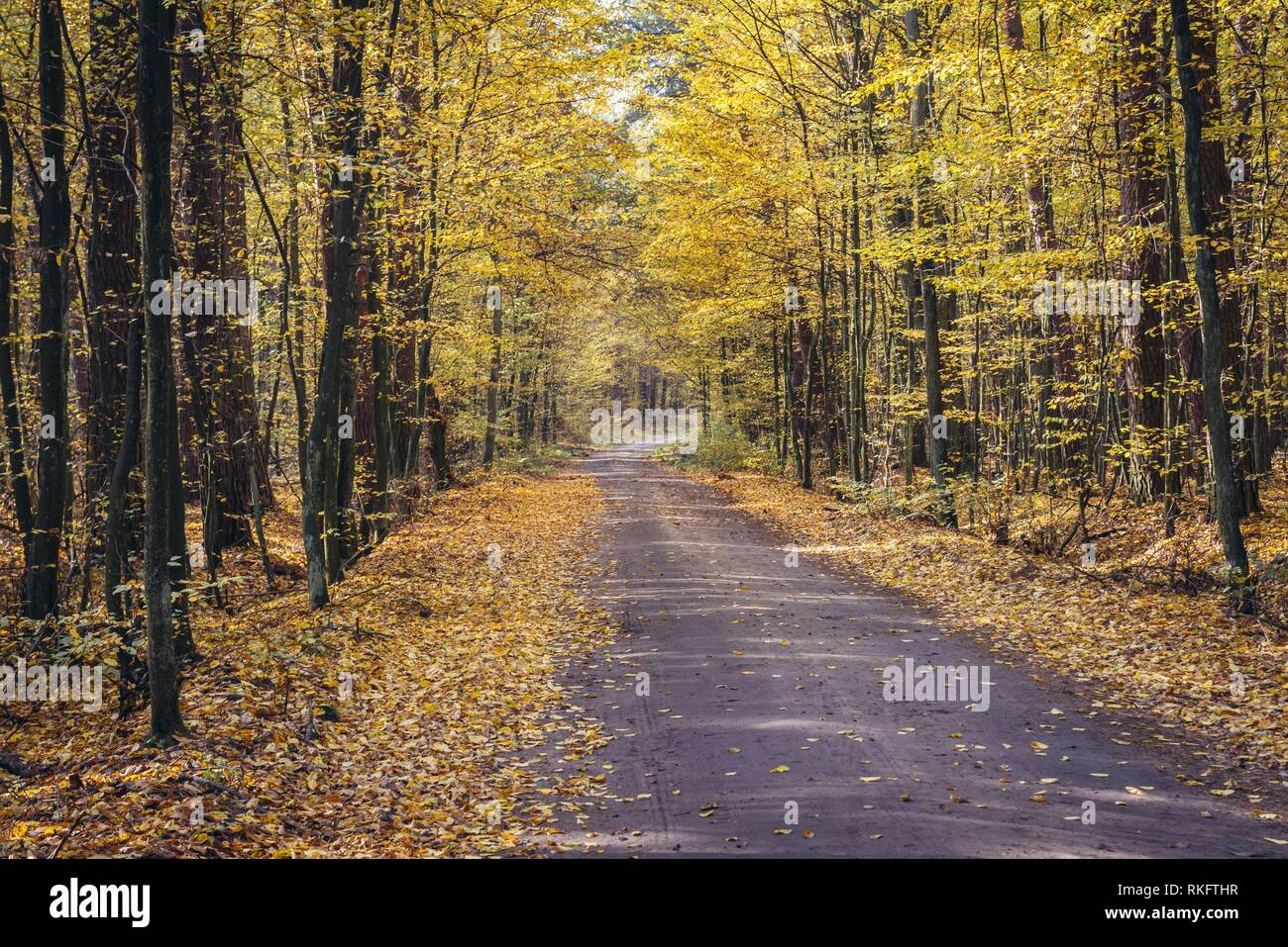 Masovian large poland hi-res stock photography and images - Alamy