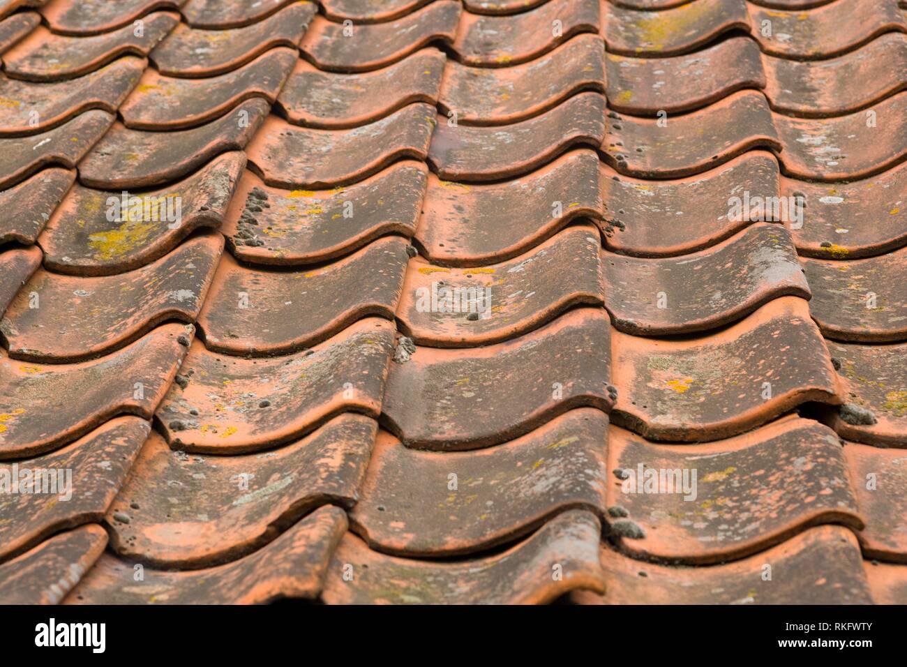 Roof Tile Stock Photos & Roof Tile Stock Images - Alamy