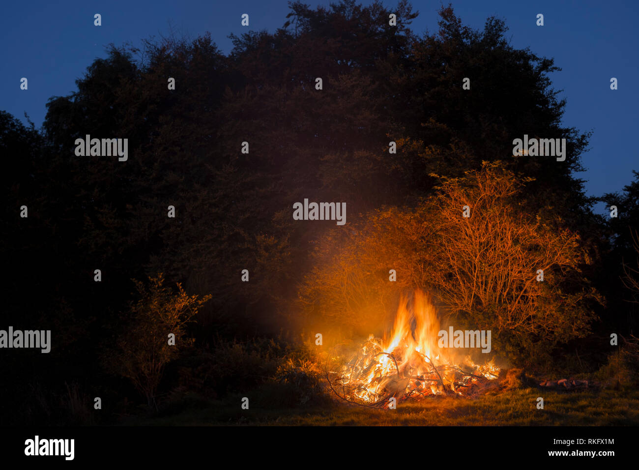 A bonfire in a field near trees Stock Photo - Alamy