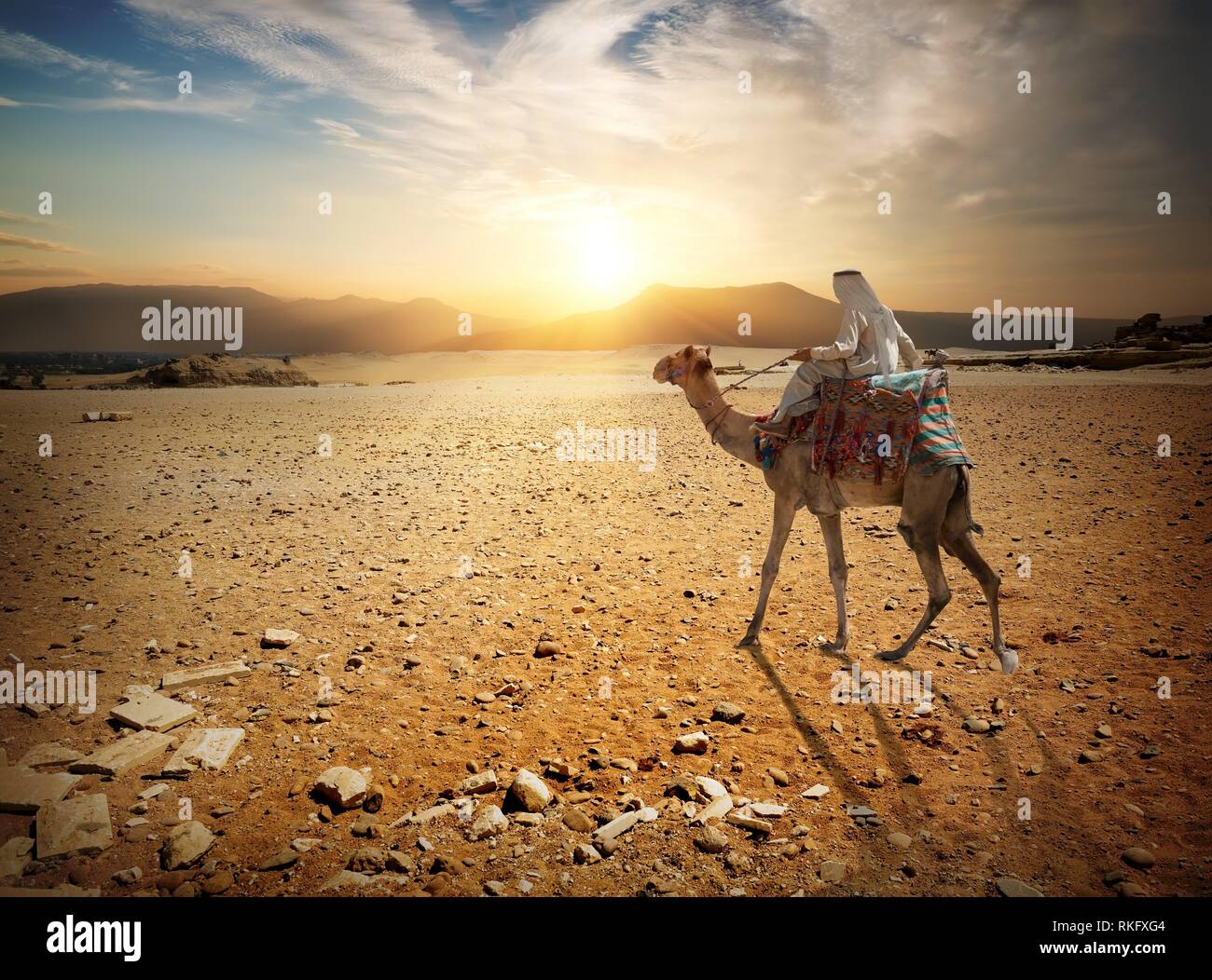 Bedouin holiday hi-res stock photography and images - Alamy