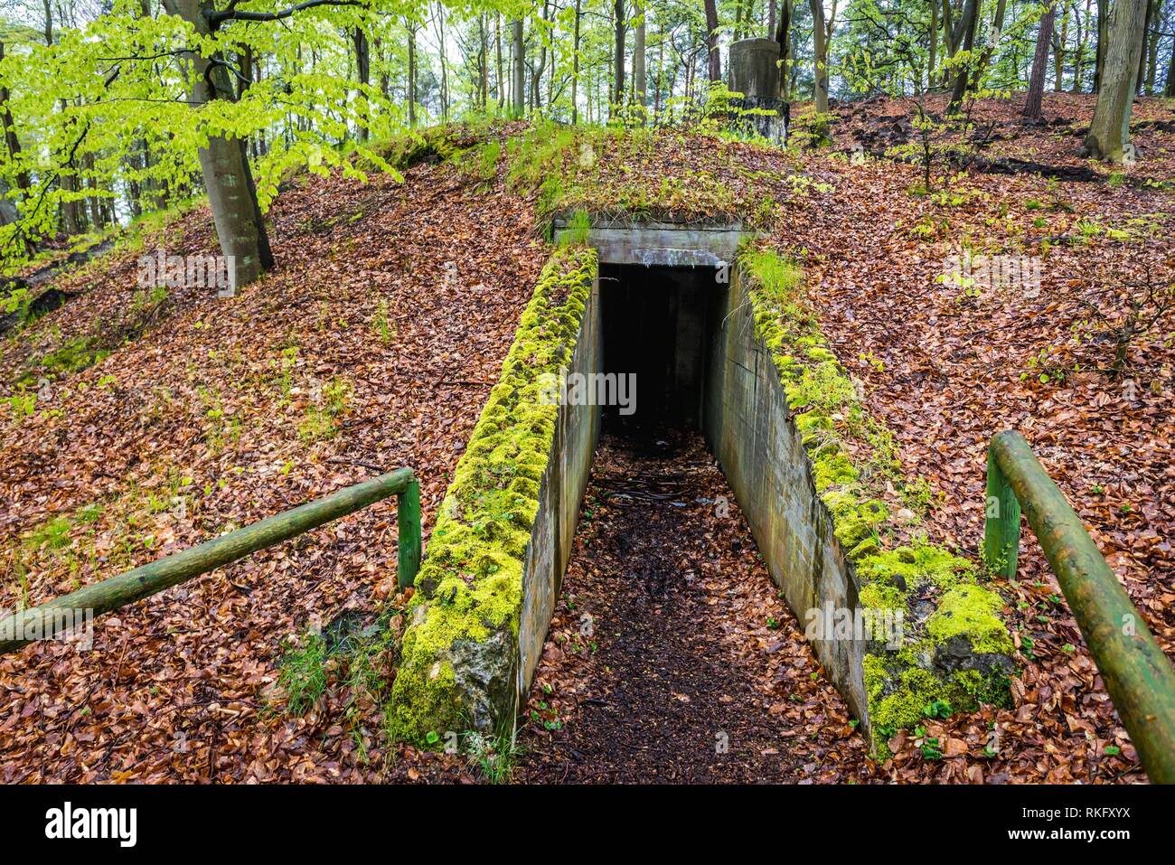 Forest Bunker High Resolution Stock Photography and Images - Alamy