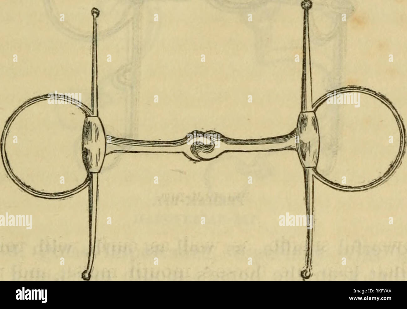 Snaffle and curb bit hi-res stock photography and images - Alamy