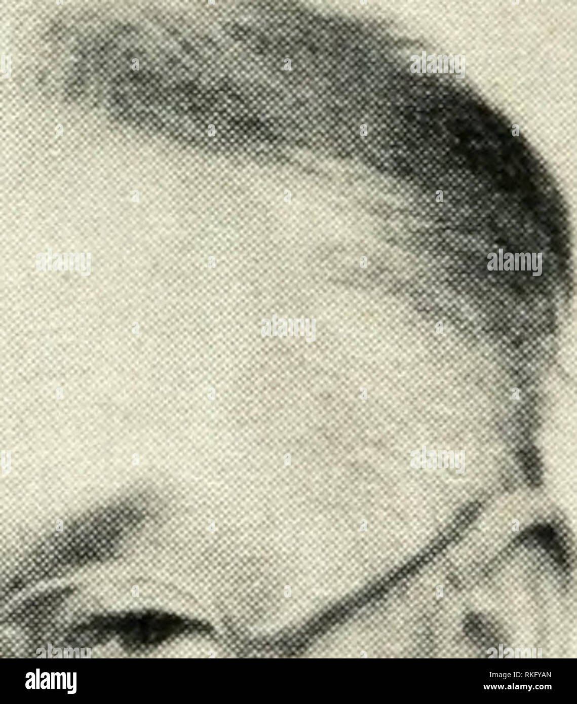 Where Did Ronald Fisher Live