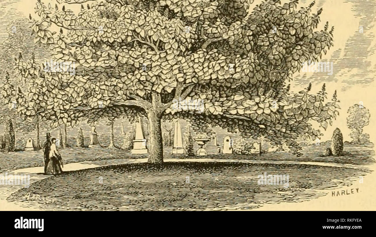 Famous Proportion Art