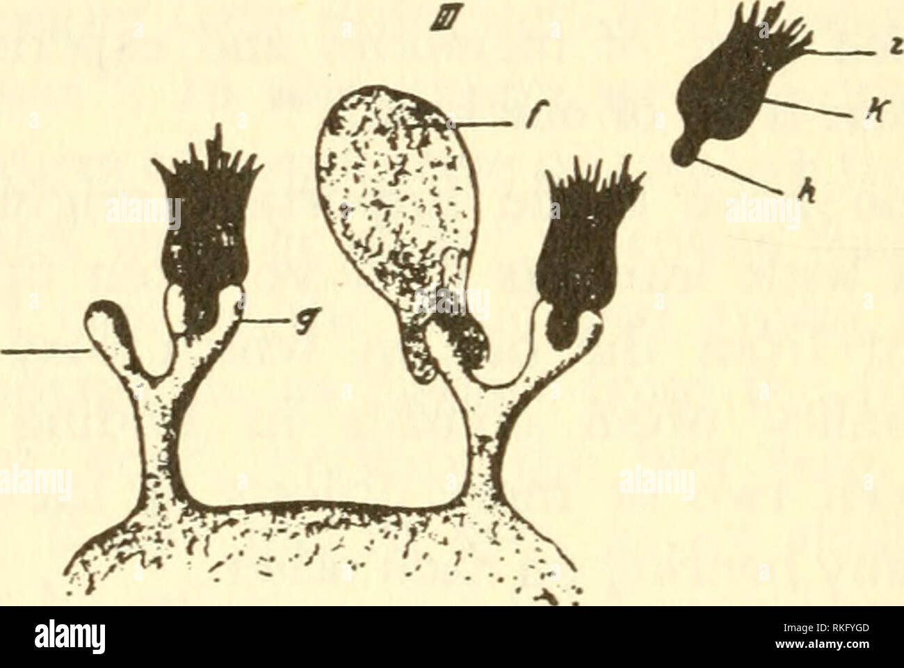 . The art of scientific investigation. Research.