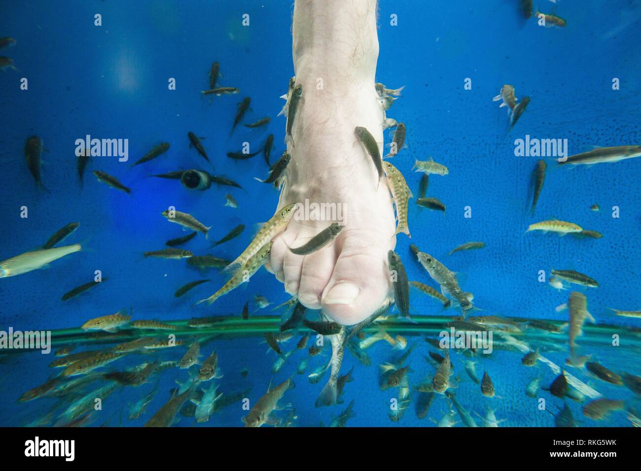 Fish massage hi-res stock photography and images - Alamy