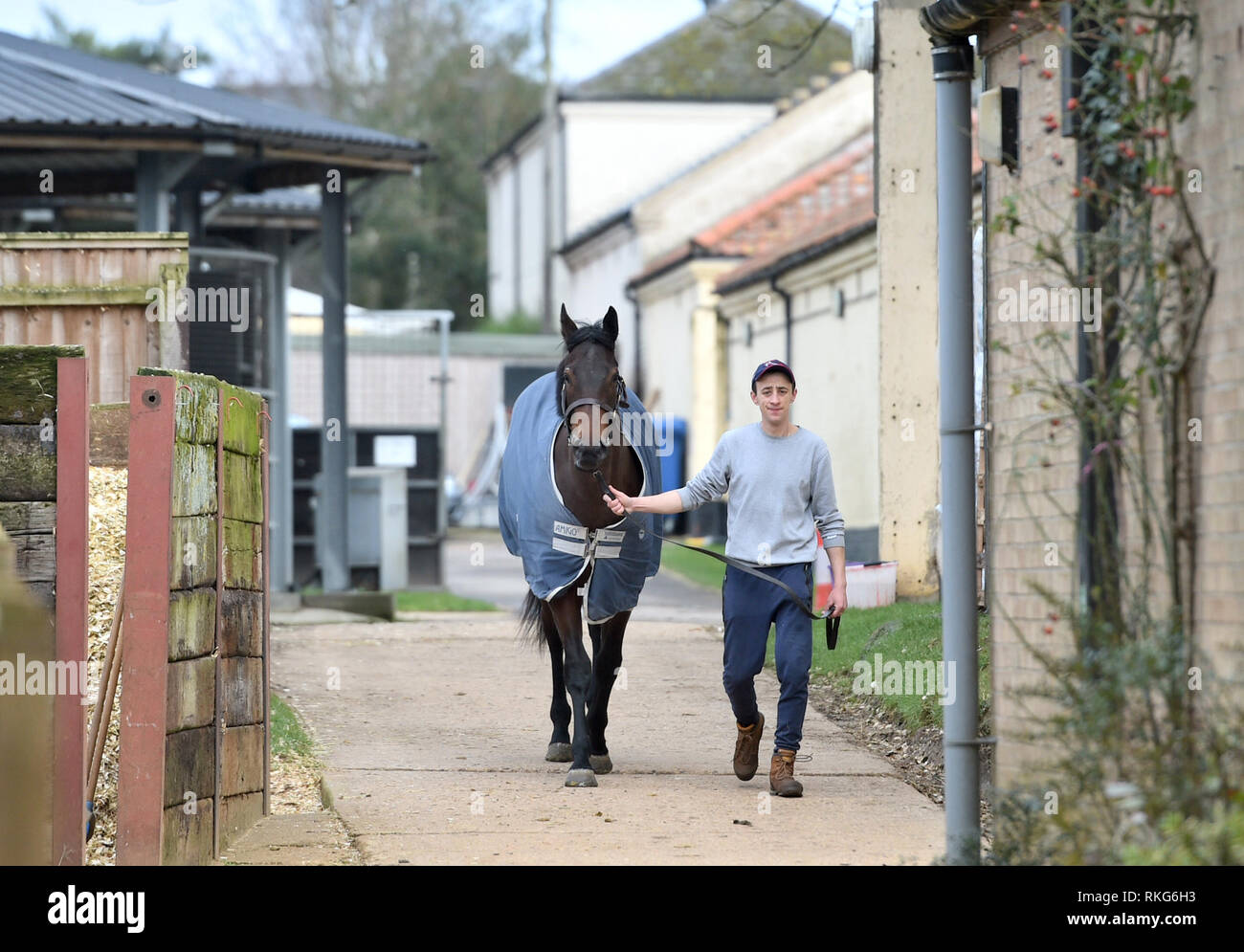 Stables staff hi-res stock photography and images - Alamy